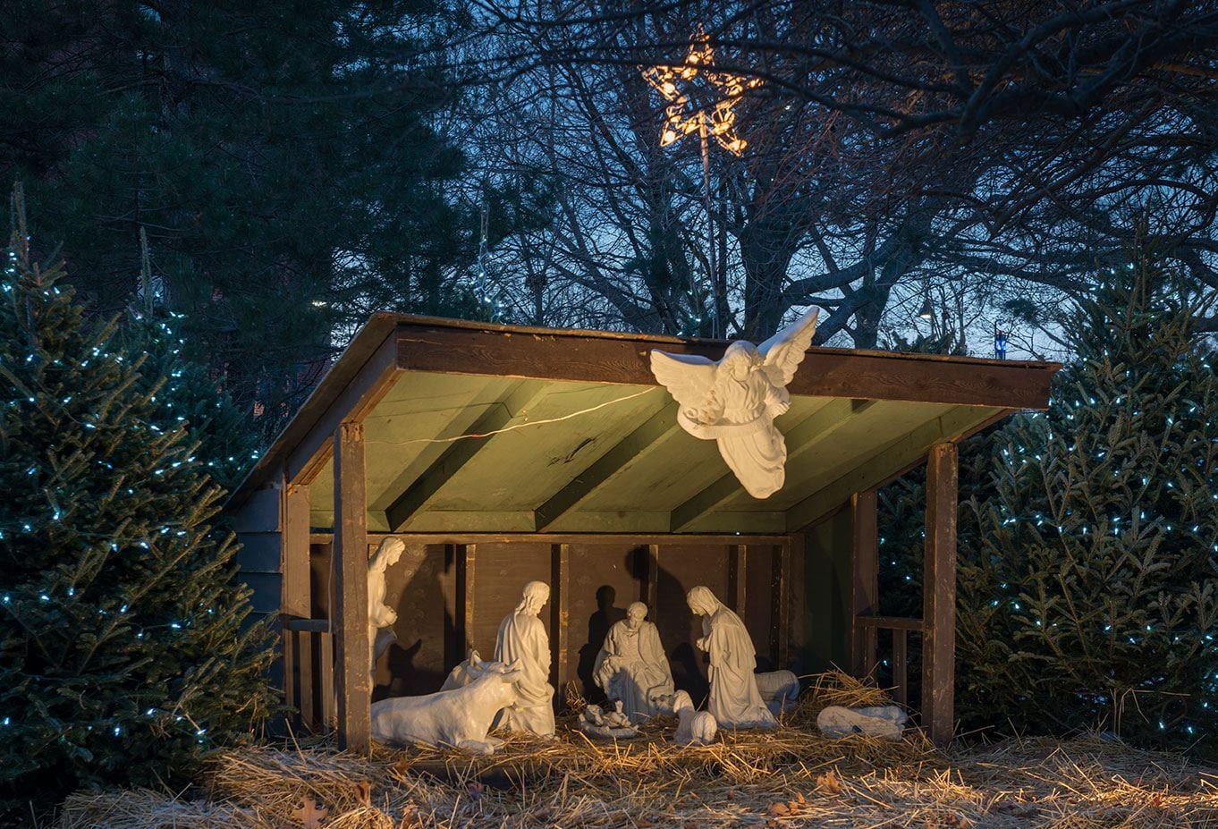 The Birth of Jesus: Luke 2: 1-20 – PC News